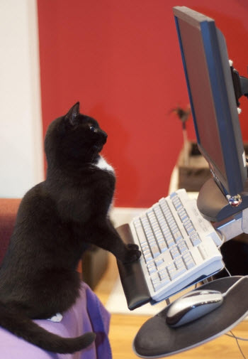 ss_kitty – IRES MLS: Come Home to Colorado